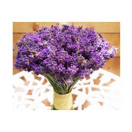 Buchet de lavanda